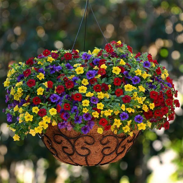 Sprinkles On Top MixMasters™